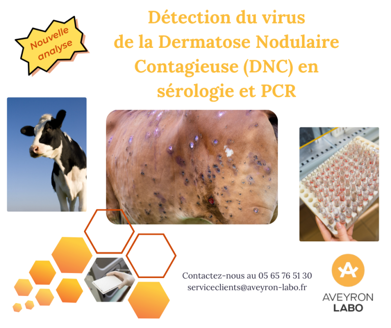 NOUVELLE ANALAYSE : DERMATOSE NODULAIRE CONTAGIEUSE - Aveyron Labo